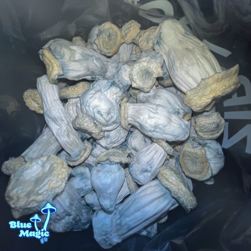 Yeti – Blue Magic Shrooms